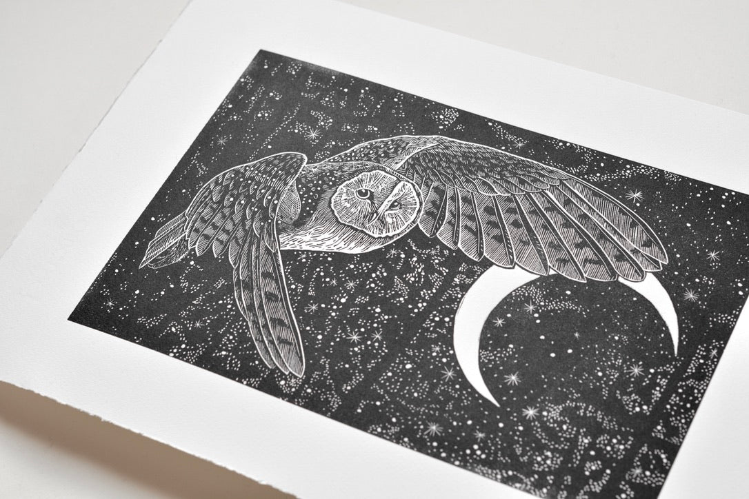 Leap Of Faith - The Barn Owl – Phillippa Walter Art